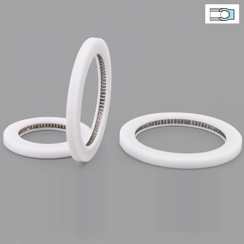 Spring Loaded Seal DVE