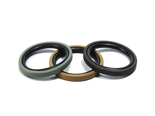 PTFE glyd ring